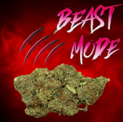 *NEW* Beast Mode-14 Grams (AAAA) – Weed The Best